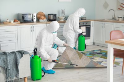 Effective Professional Fumigation Services for Safe Environments